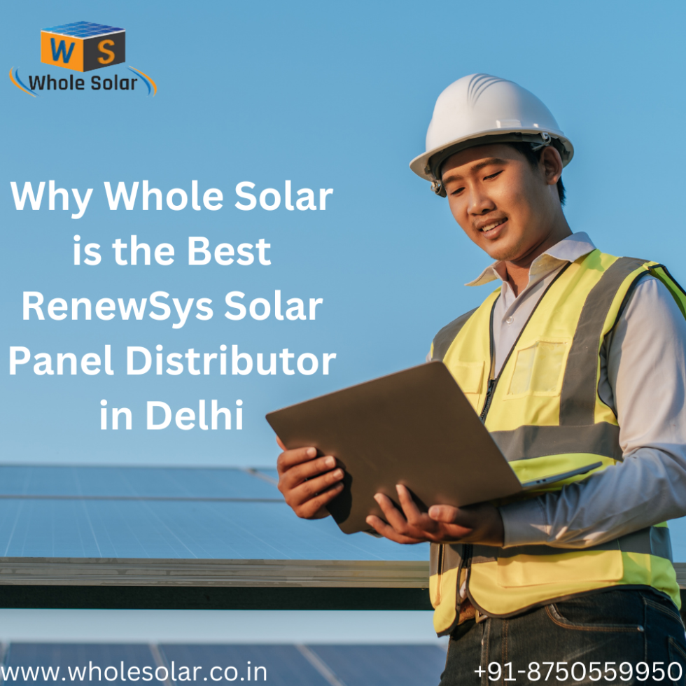Why Whole Solar is the Best RenewSys Solar Panel Distributor in Delhi